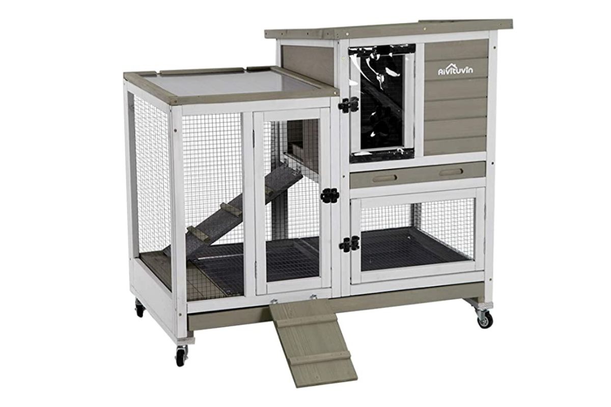 Can Rabbits Have Two Level Cages? (All You Need To Know)