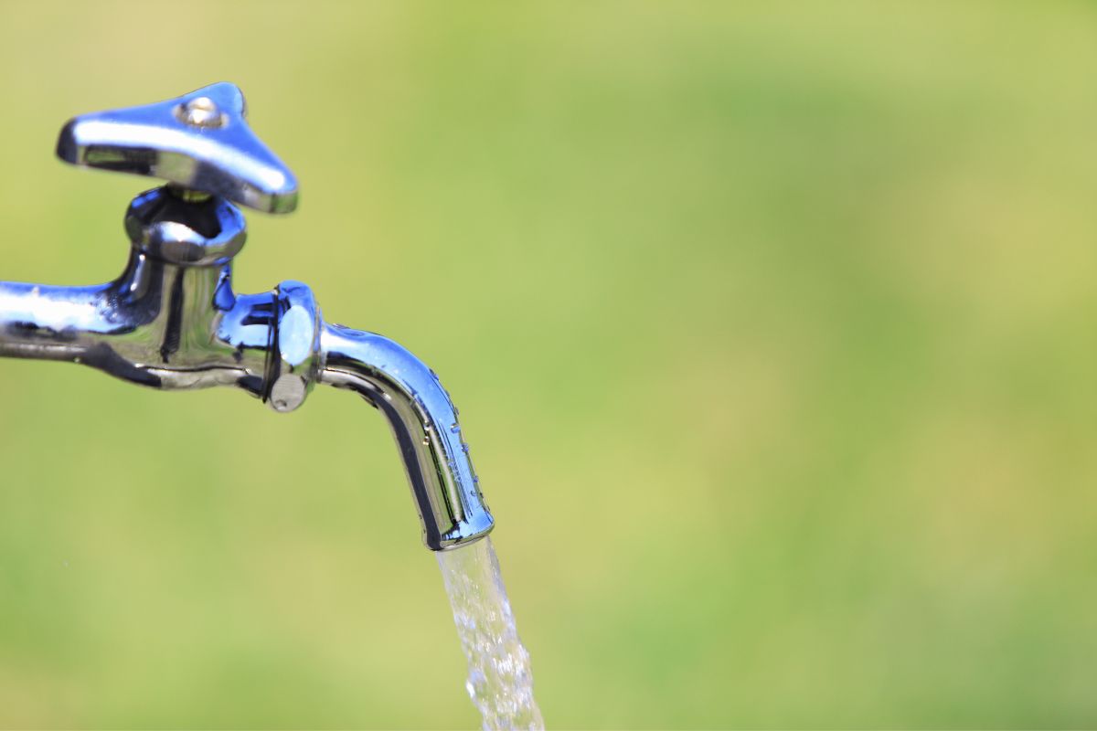 Best Water For Neon Tetras (Tap, Distilled Or Well Water)